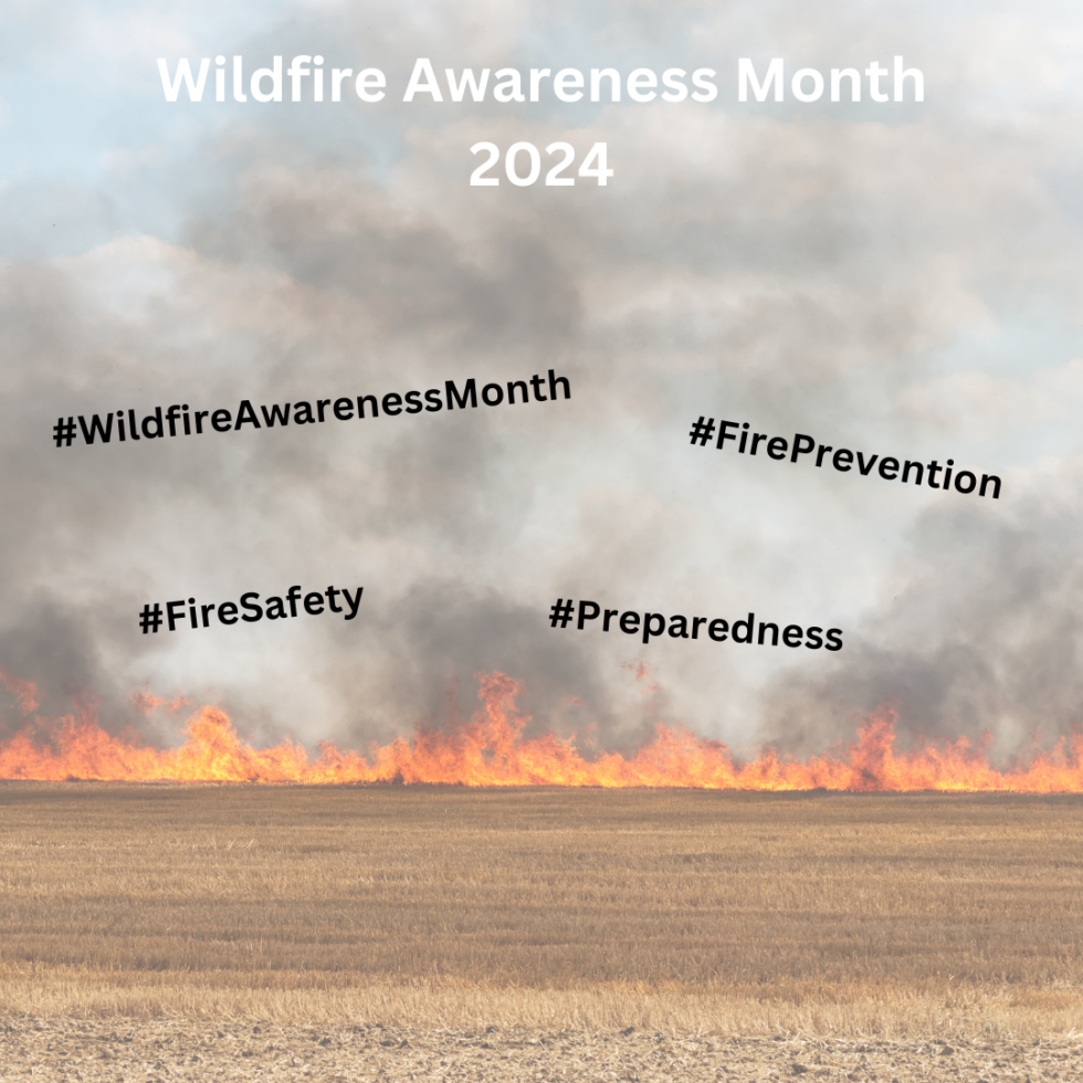 🔥 May: Igniting Awareness for Wildfire Prevention 🔥 - Stroud National ...